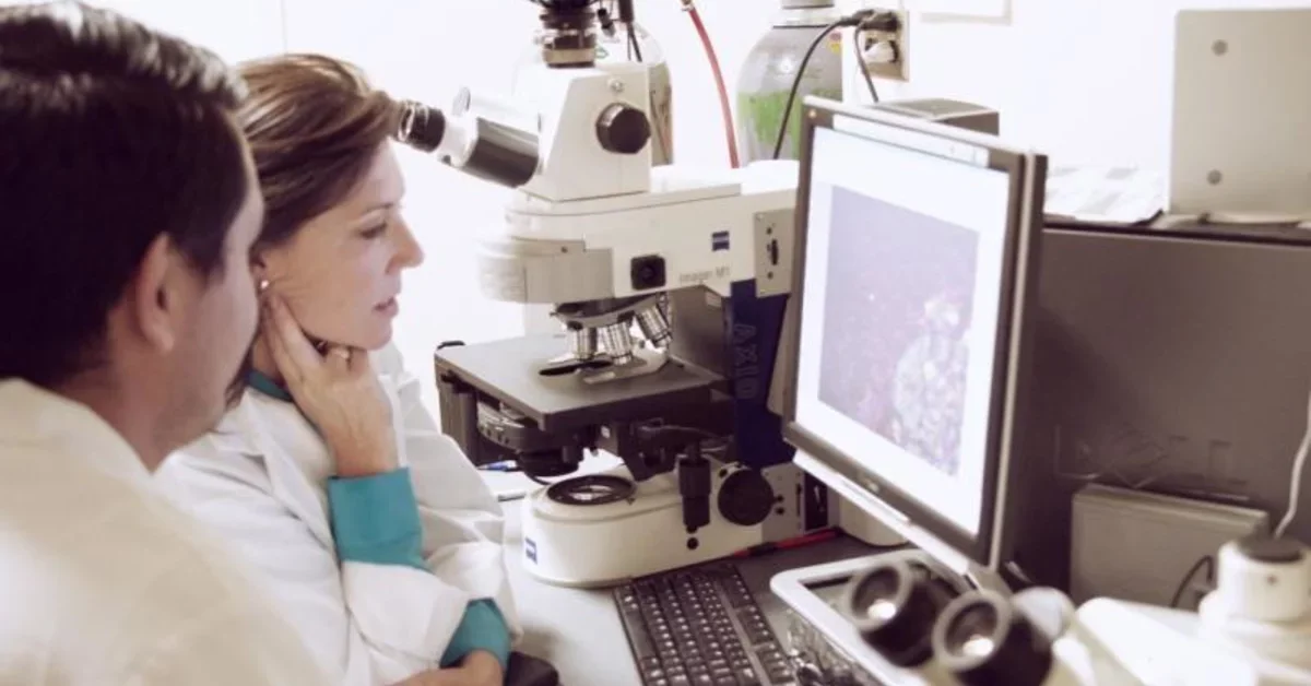 Melissa Spencer receives CIRM grant to develop new tool for delivering ...