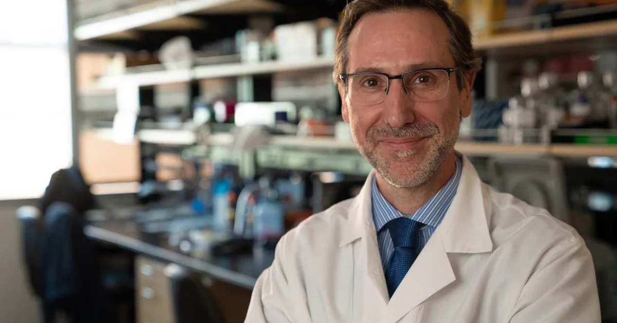 Antoni Ribas receives renewal of NCI Outstanding Investigator Award ...