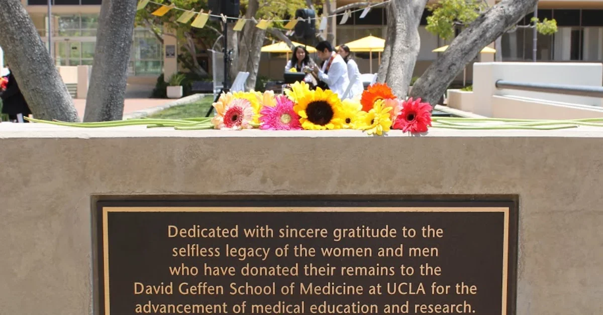 Service of Gratitude Ceremony | UCLA Medical School