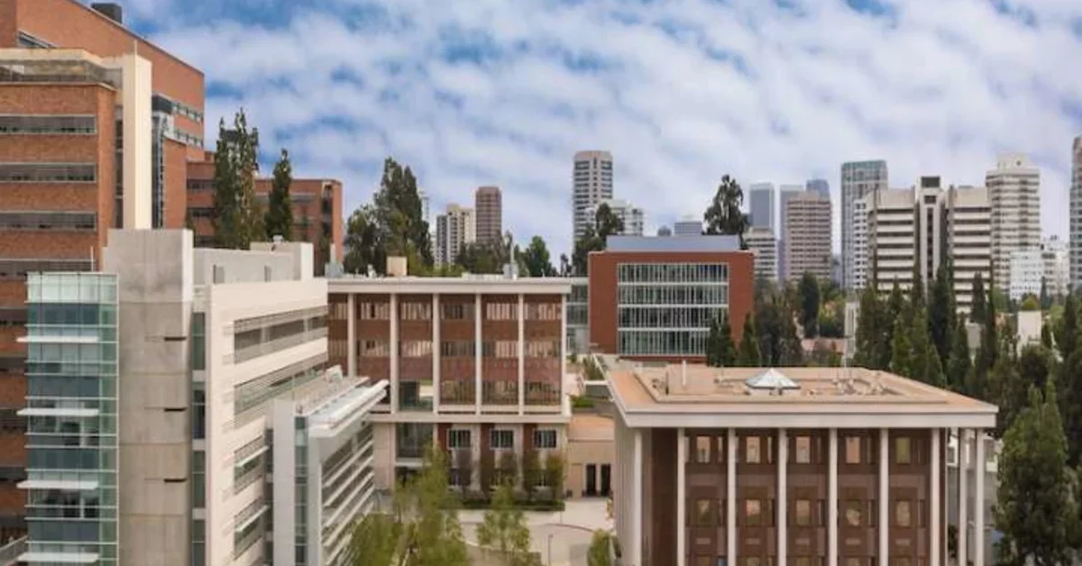 Aesthetic Eyelid and Facial Rejuvenation | UCLA Medical School